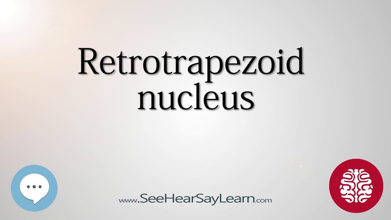 Retrotrapezoid nucleus Anatomy of the Brain SeeHearSayLearn 🔊 - YouTube