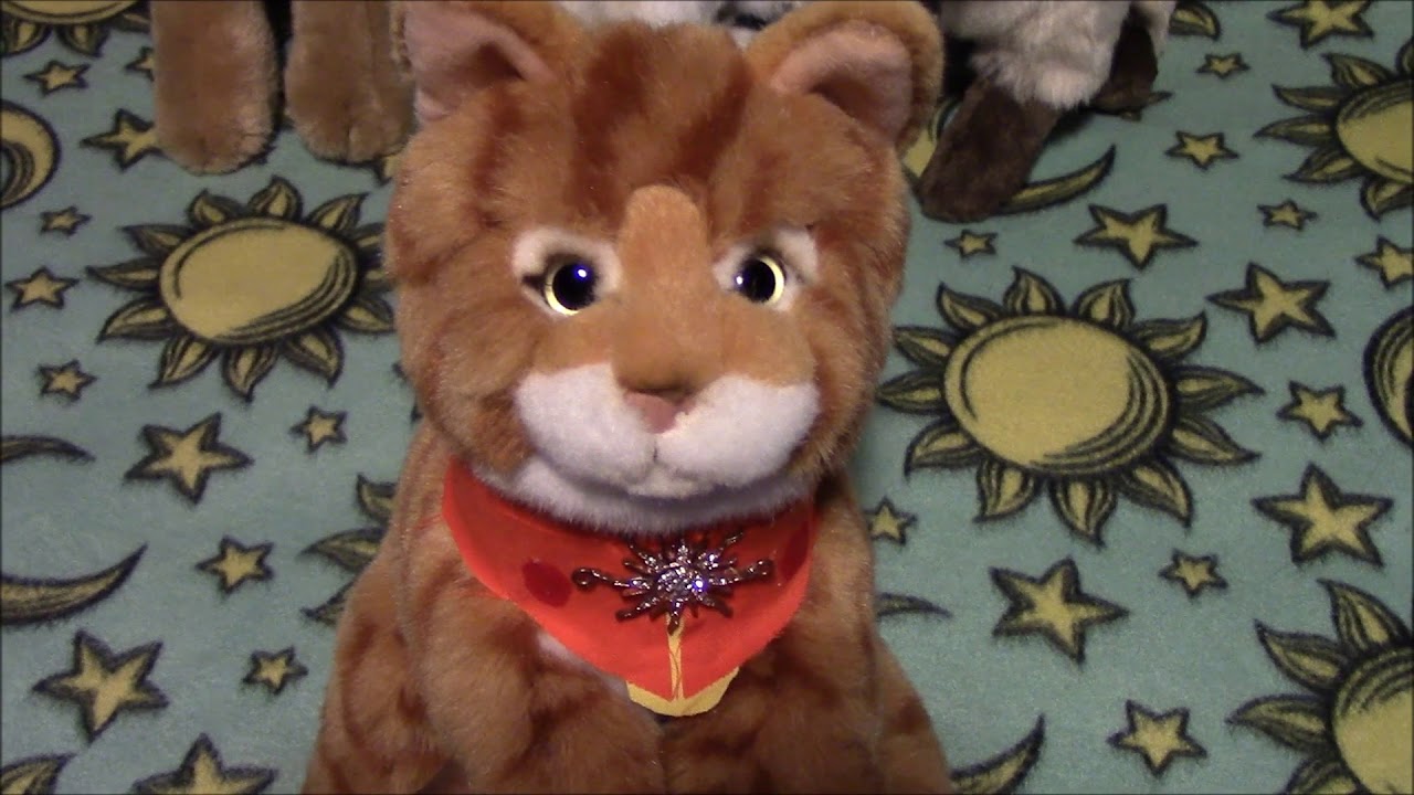 ☀️🔥Webkinz Signature Orange Tabby Cat Package🔥☀️ - YouTube