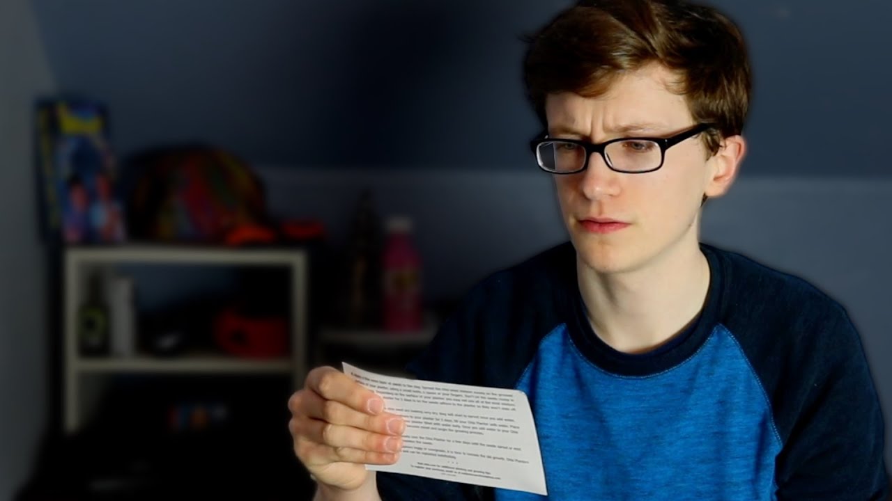 A Visit from the Health Inspector - YouTube