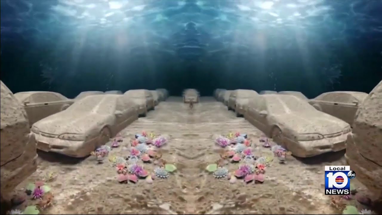 Miami Art Week highlights climate crisis, as opening for Reefline ...