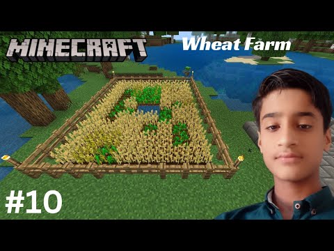I BUILT MY NEW WHEAT FARM || MINECRAFT GAMEPLAY 10 - YouTube