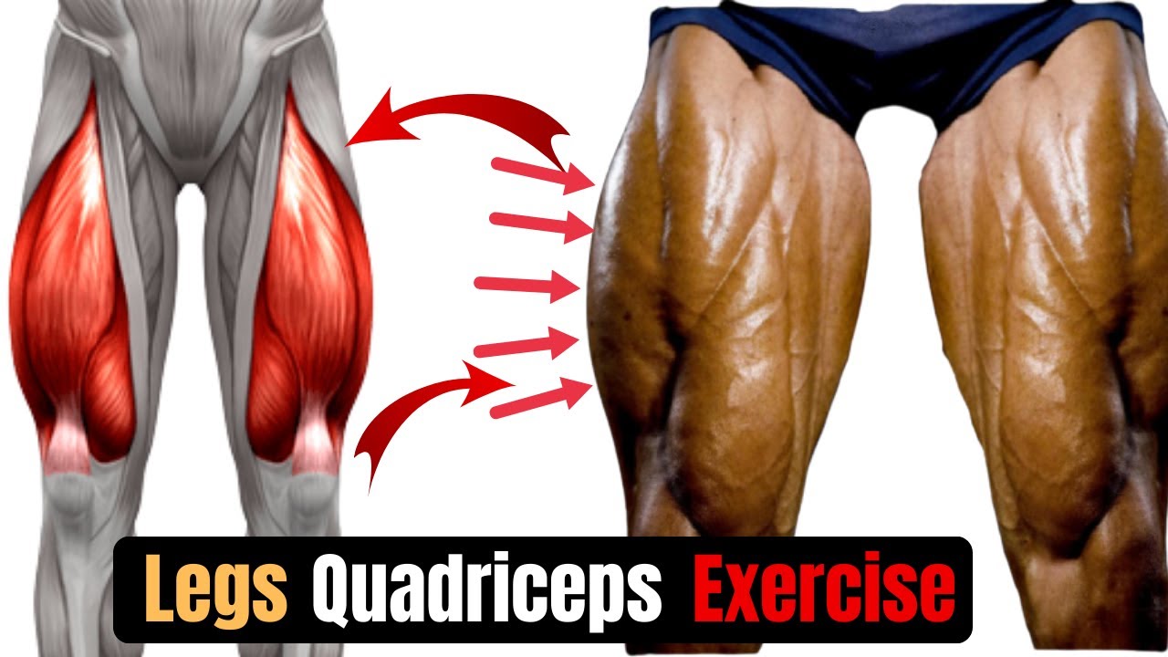 Legs Quadrecips Exercises || Bigger Quadrecips Strengthening Exercises ...