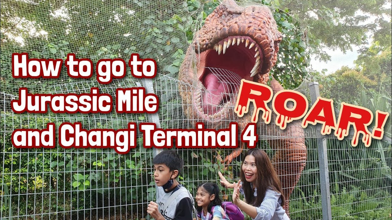 How to go to Jurassic Mile | Changi Terminal 4 | The Best Airport in ...
