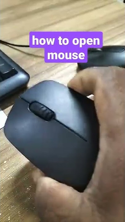 how to open a mouse. - YouTube