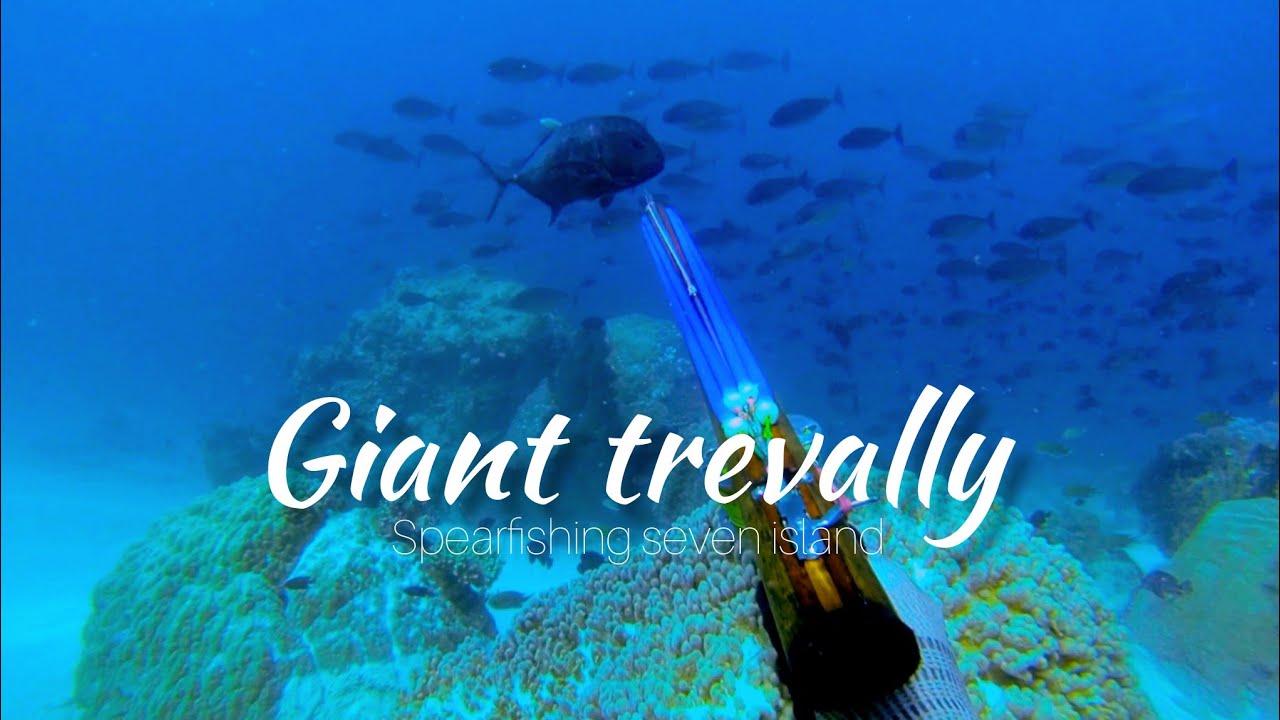 spearfishing trip seven Island, hunting Giant trevally | catch & cook ...