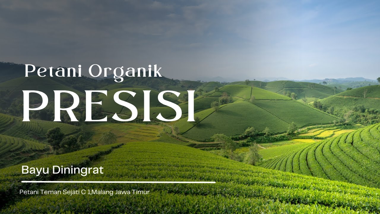 PETANI ORGANIK PRESISI BAYU DININGRAT Petani Teman Sejati - YouTube