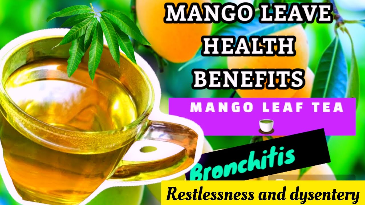 Mango leaves 🍃 shocking health benefits// Mango leaf tea 🍵 health ...