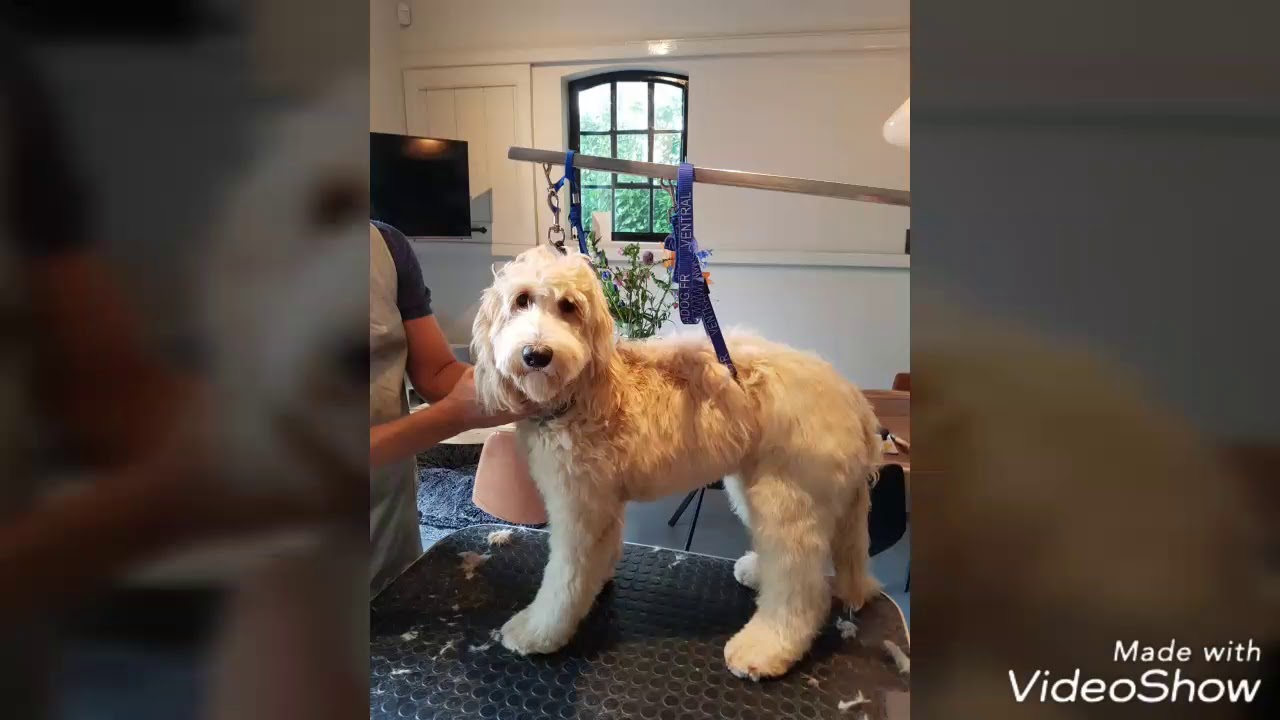 Doodle trimmen Peter van der Vorst - YouTube