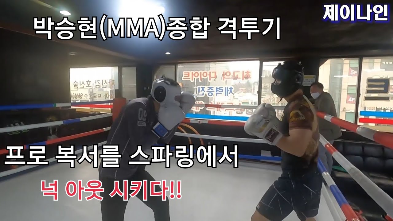 Mma종합격투기박승현선수 프로복서를 스파링에서 넉 아웃 시키다 복싱 권투 프로복싱 스파링 장정구체육관 박승현