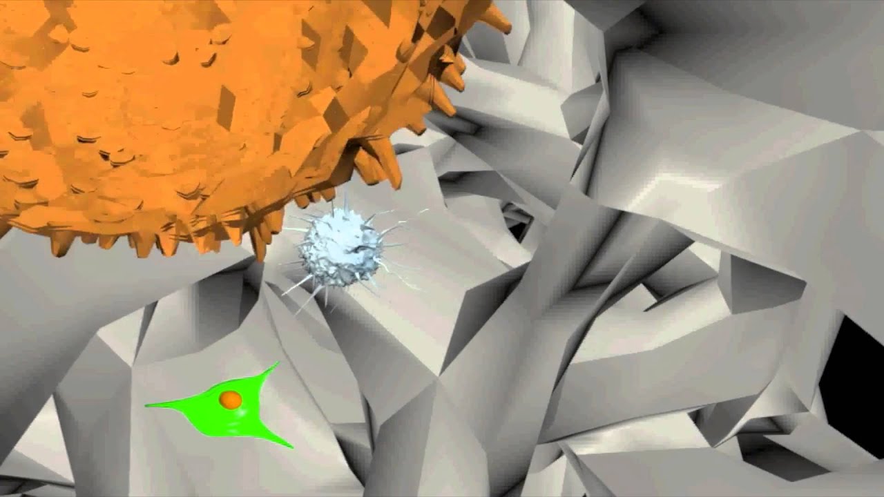 Stem Cell Movies - YouTube