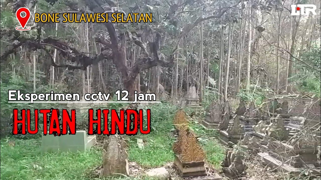 eksperimen cctv di hutan Hindu Bone Sulawesi Selatan - YouTube