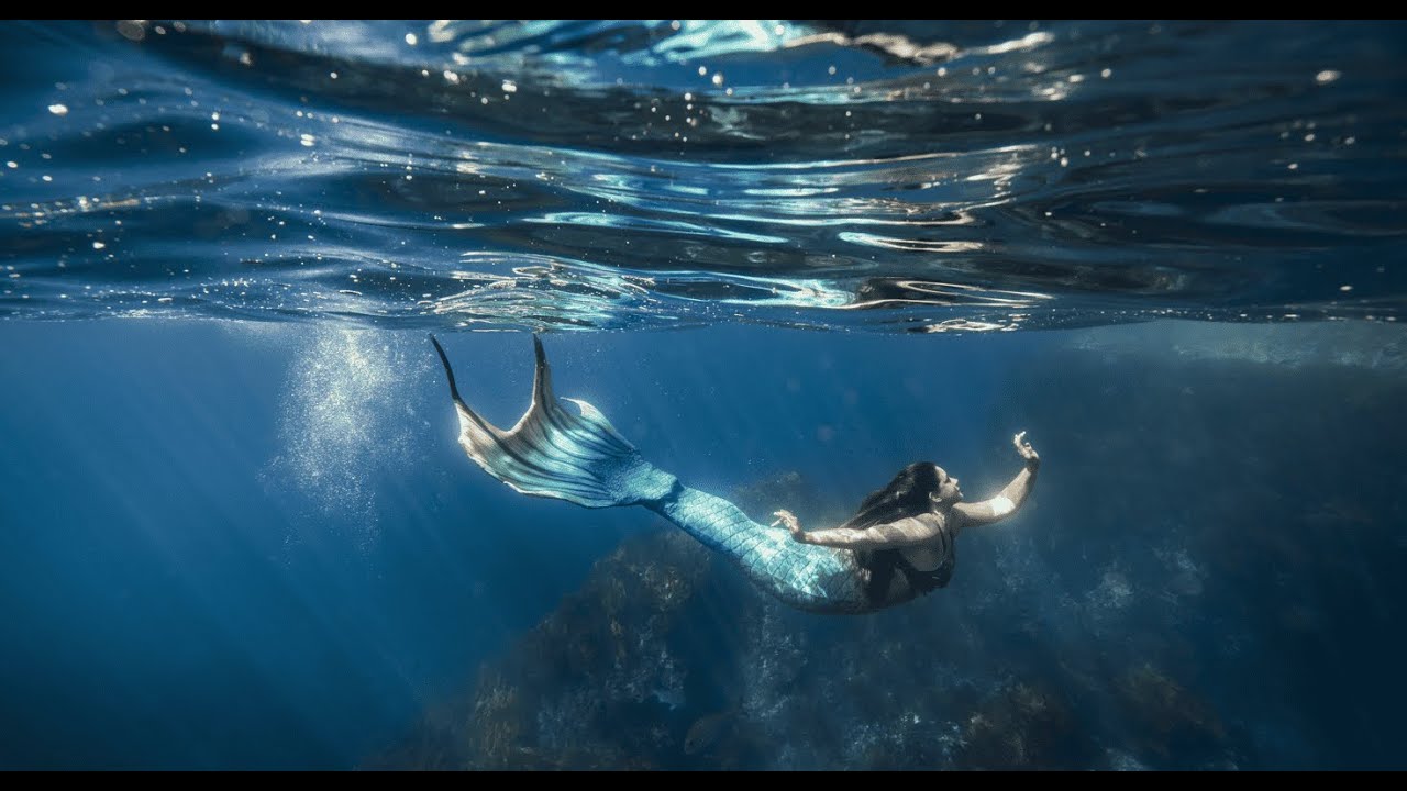 Mermaid Diver Transformation