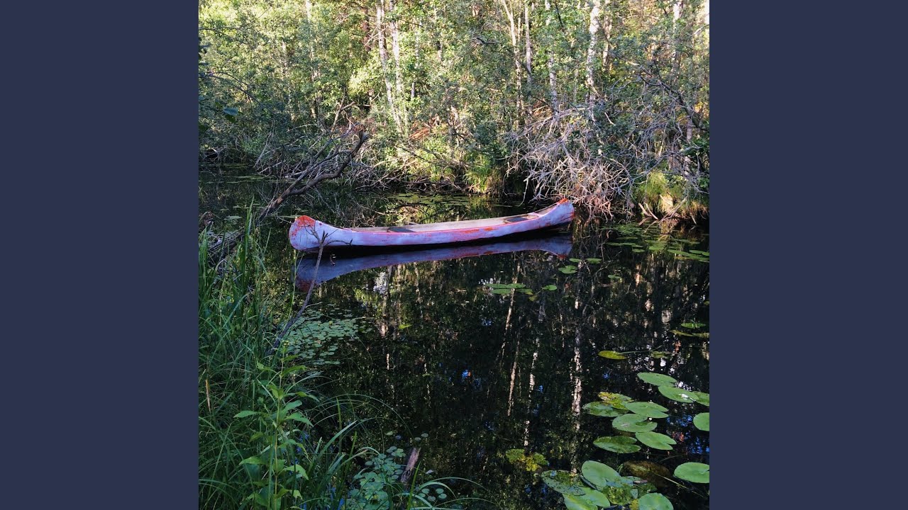 nossgninnevs onuj - YouTube