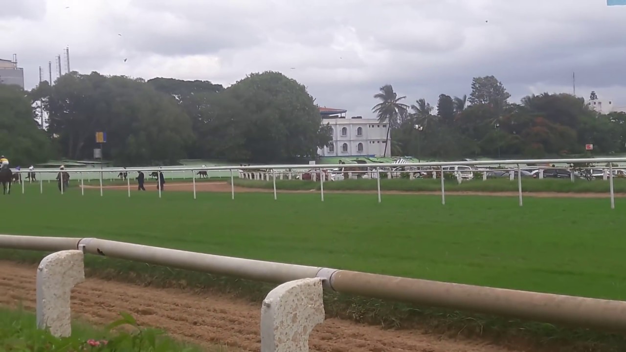 Bangalore Turf Club Live Race held at Bengaluru | Durby Race - YouTube