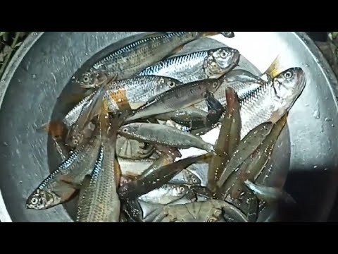 Mixtures of organic veg, || #naga # local food #making of sinju🤤 |# ...