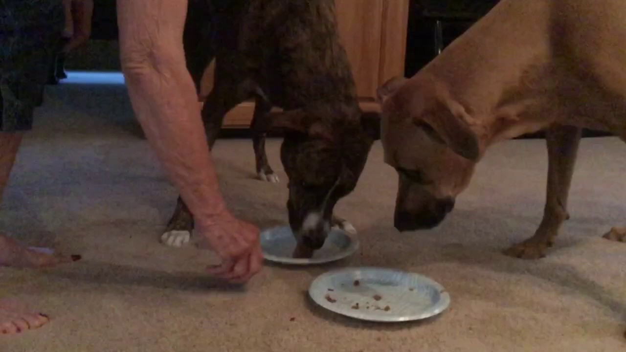 Feefer & Frozen Rosen Are Love Muffins - YouTube