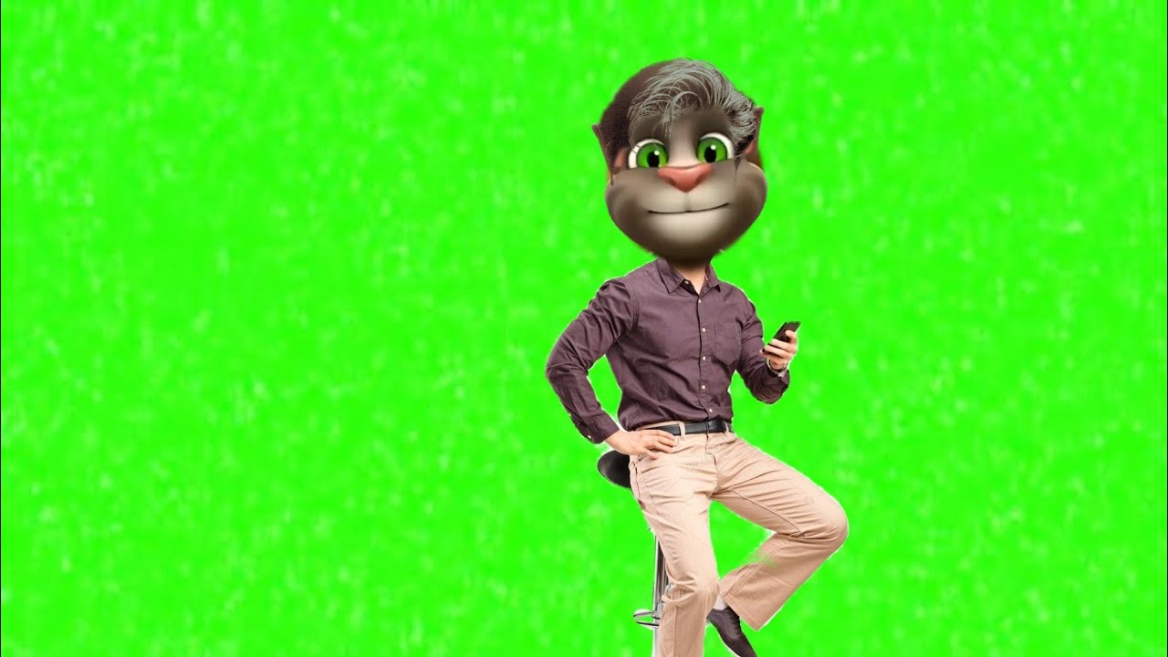 Talking Tom sitting on the table green screen New video 😄 no copyright ...