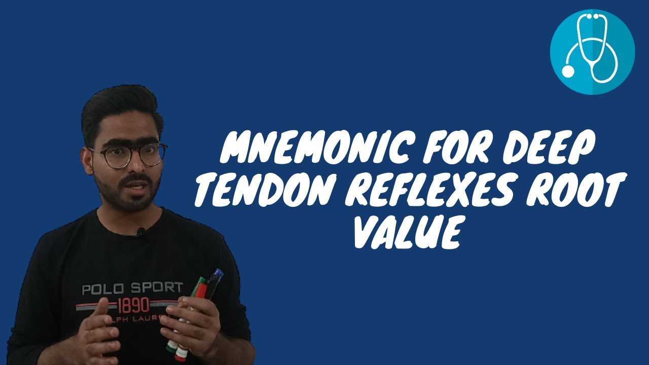 MNEMONIC TO REMEBER ROOT VALUE OF DEEP TENDON REFLEXES DTR YouTube MNEMONIC TO REMEBER ROOT VALUE OF DEEP TENDON REFLEXES DTR YouTube