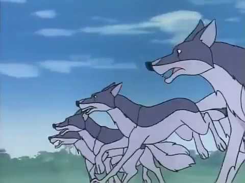 The Jungle Book Hindi Episode 40 | The Dhole Invasion - YouTube