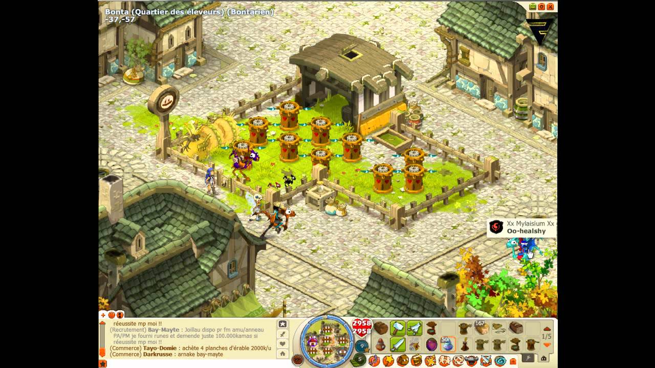 Tuto Dofus : Elevage de DD - YouTube