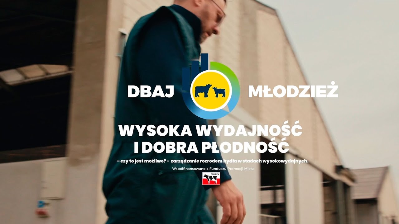 DBAJ O MŁODZIEŻ webinar PFHBiPM - YouTube