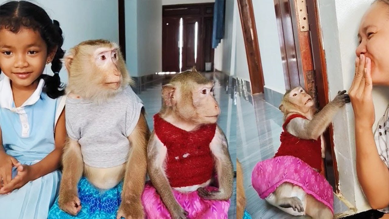 Making Fun React before Milk - YouTube