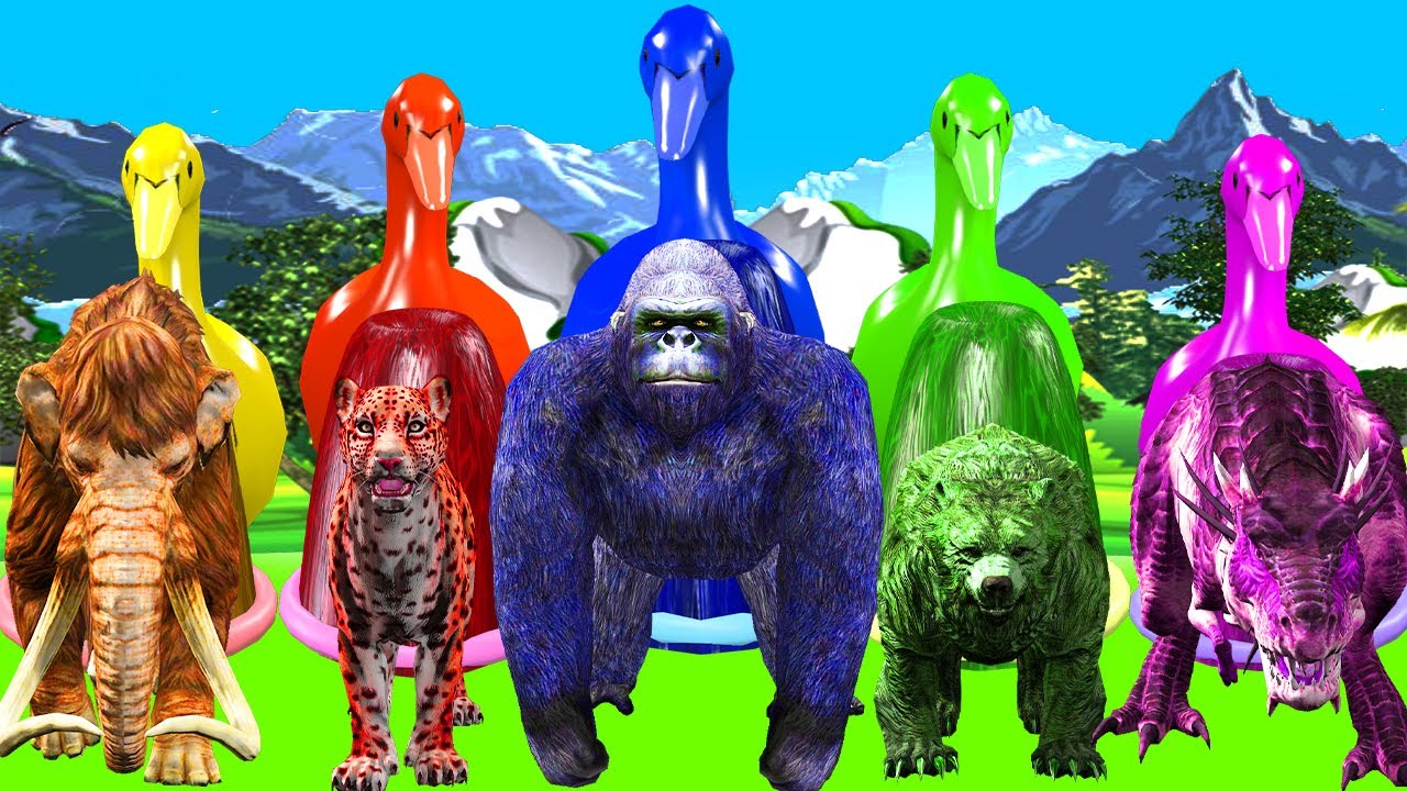 Mystery key Funny Slides 5 Giant Ducks Wilde animals wholly Mammoth ...