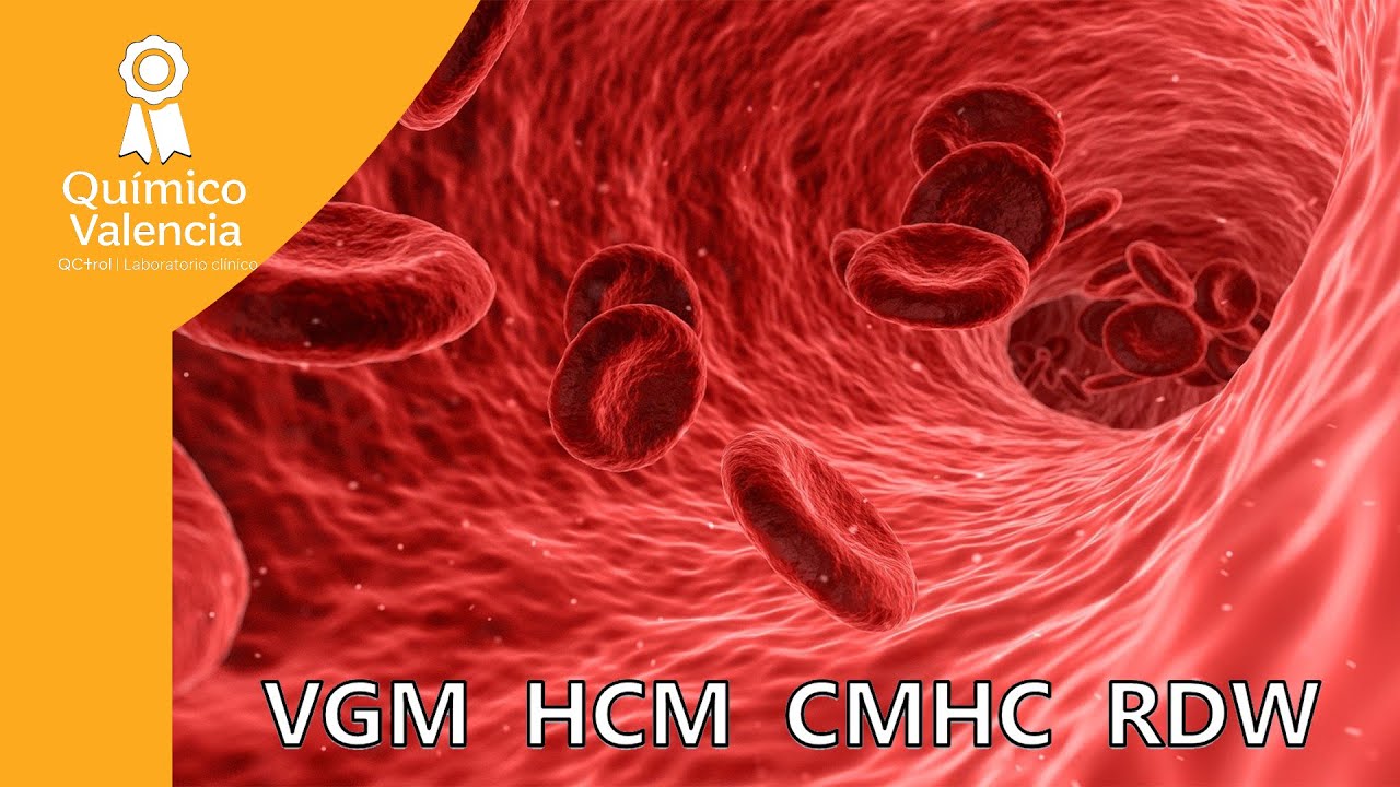 Qué son los índices de WINTROBE? Índices eritrocitarios de la BIOMETRÍA ...