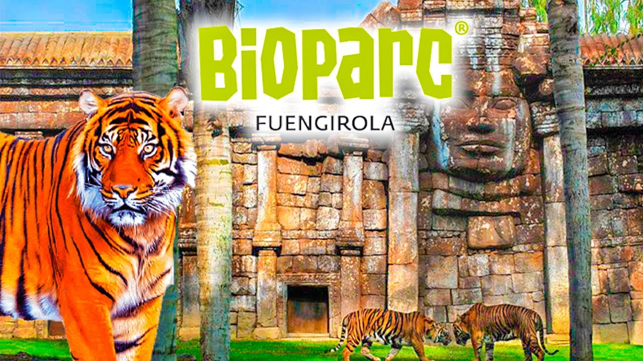 ¡Así es BIOPARC FUENGIROLA 2021! I Un zoo diferente a lo habitual - YouTube