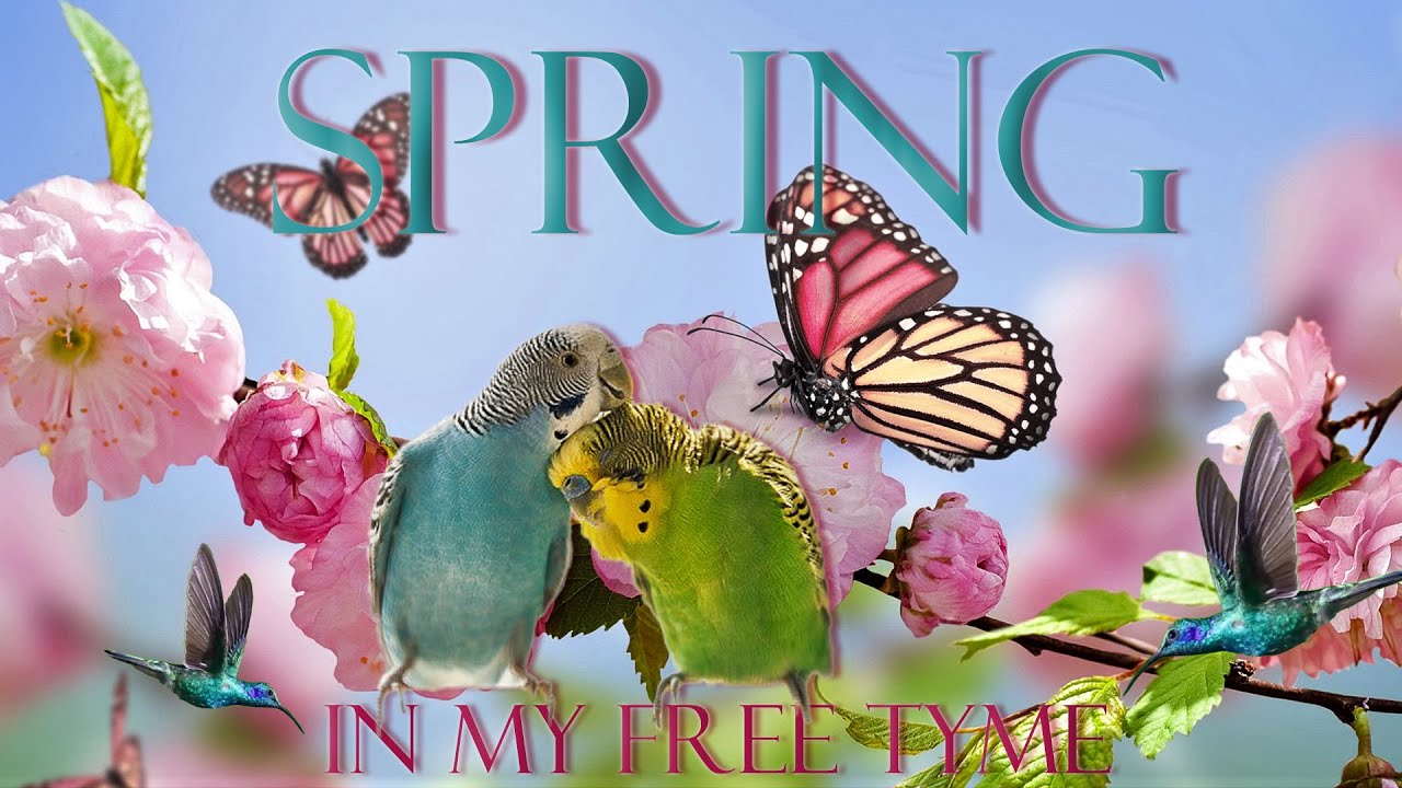 Spring Season {Nature} {Life} {New Beginnings} - YouTube