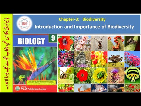 Introduction to biodiversity || Importance of biodiversity || Biology ...
