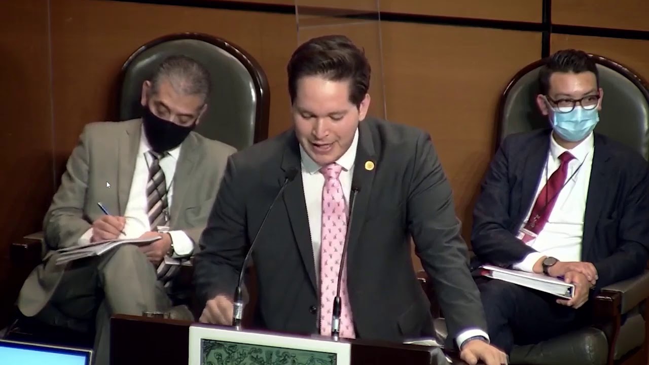 Dip Mario Alberto Ramos Tamez Comparecencial titular CFE en Comisiones ...