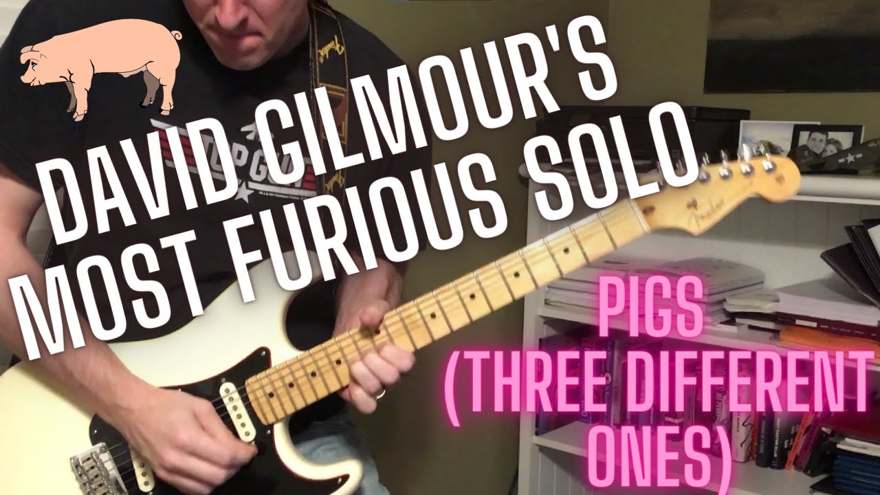 Pigs Three Different Ones Chords