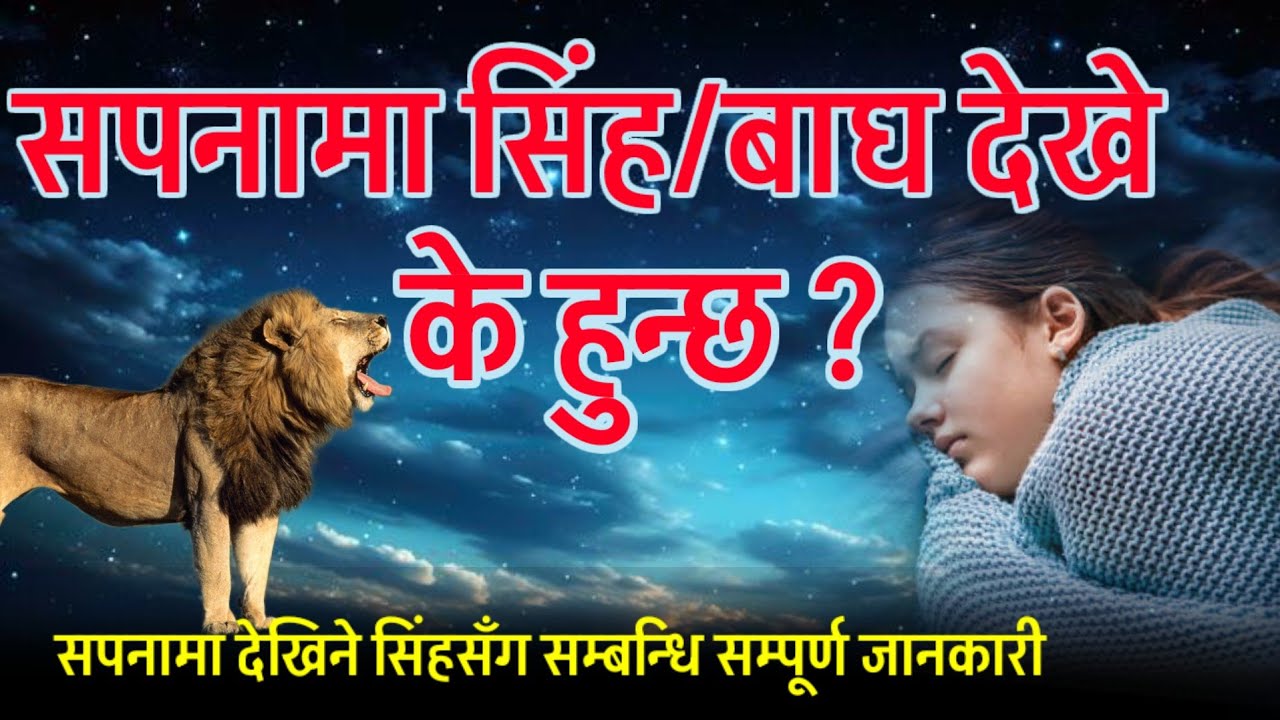 सपनामा सिंह, बाघ देखेमा के हुन्छ ? sapanama bagh (Tiger) (Lion) dekhe k ...