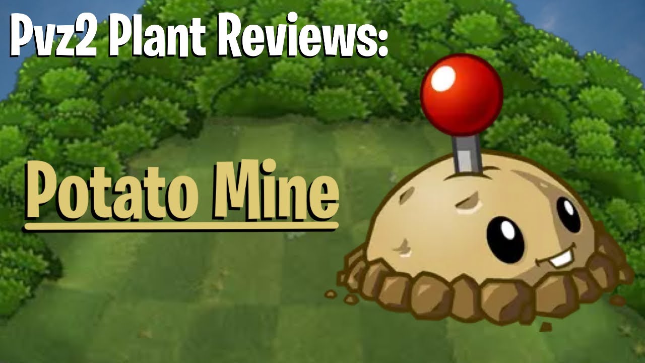 Potato Mine Review - YouTube