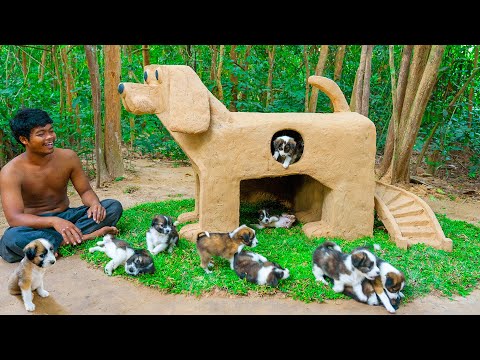 Build a MUD DOG HOUSE for Rescued Puppies and Get Crafty