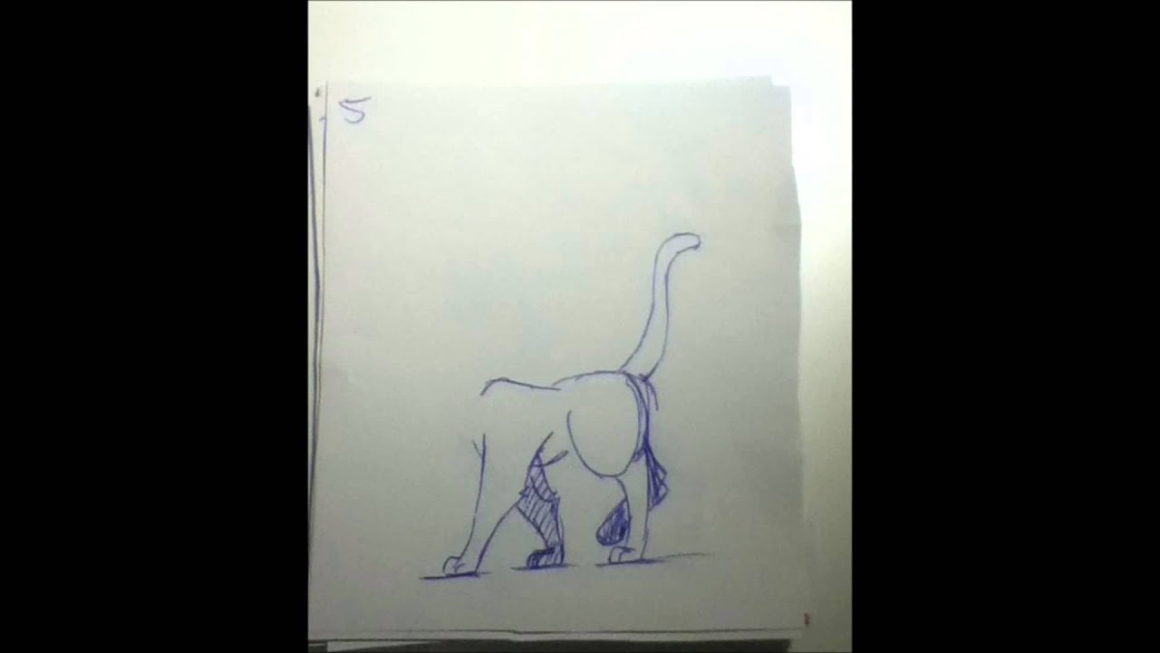 Animation Cat Walk Cycle Attempt - YouTube