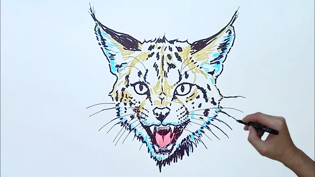 Drawing a Serval / Art Ideas for when you are Bored / Serval Wild Cat ...
