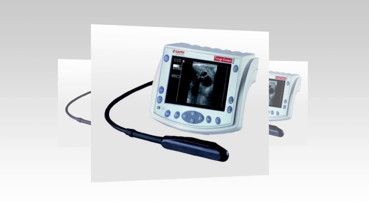 Esaote Tringa Linear Ultrasound System US$3,960 - YouTube