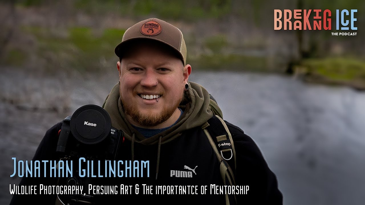 Jonathan Gillingham - Wildlife Photography, Perusing Art & The ...