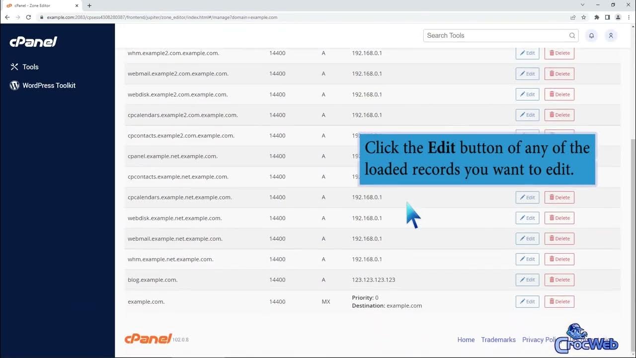 How to edit or delete MX Record in cPanel using the DNS Zone Editor - CrocWeb Cloud - YouTube