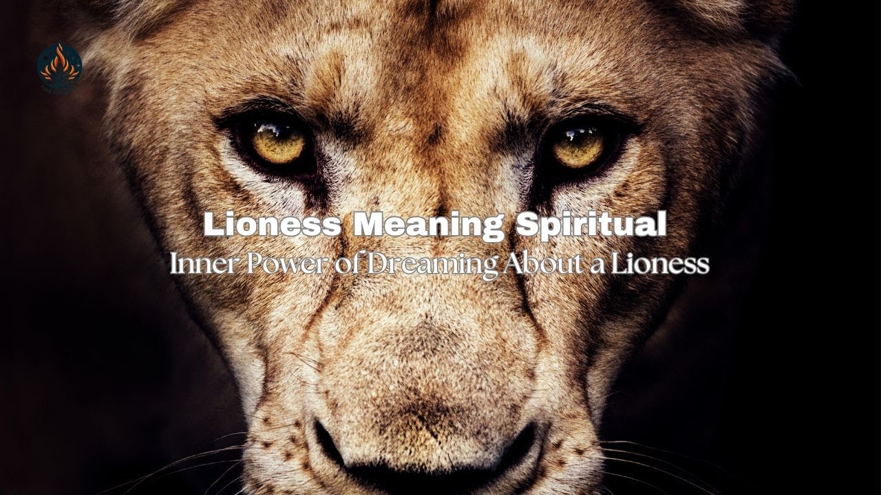 Lioness Meaning Spiritual | Inner Power of Dreaming About a Lioness ...