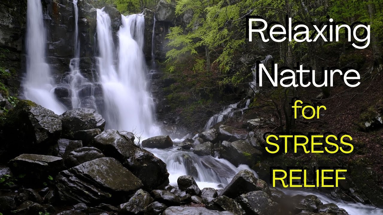 Relaxing Nature for No Stress; ASMR sounds for Sleep, Study, and ...