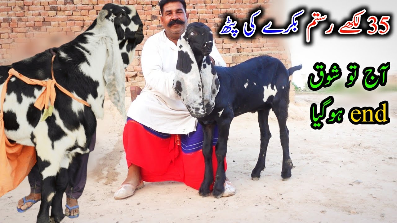 35 Lakha Rustam Bakara Ki Daughter - YouTube