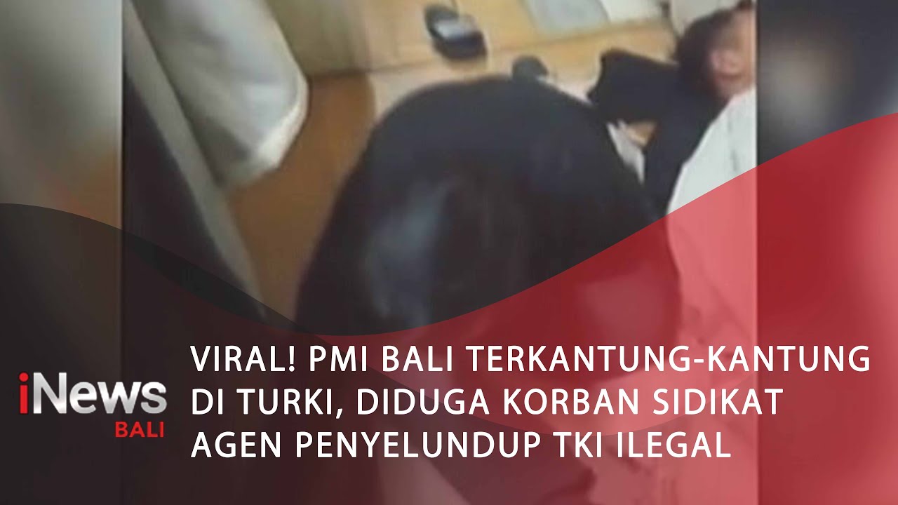 Viral PMI Bali Terkatung-katung di Turki, Diduga Korban Sindikat Agen ...