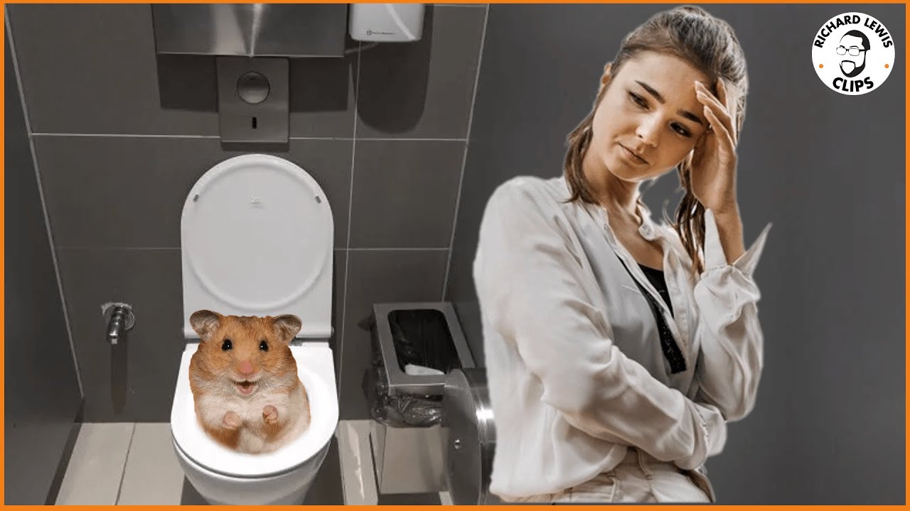 Flushing your emotional support hamster to be allowed to fly - YouTube