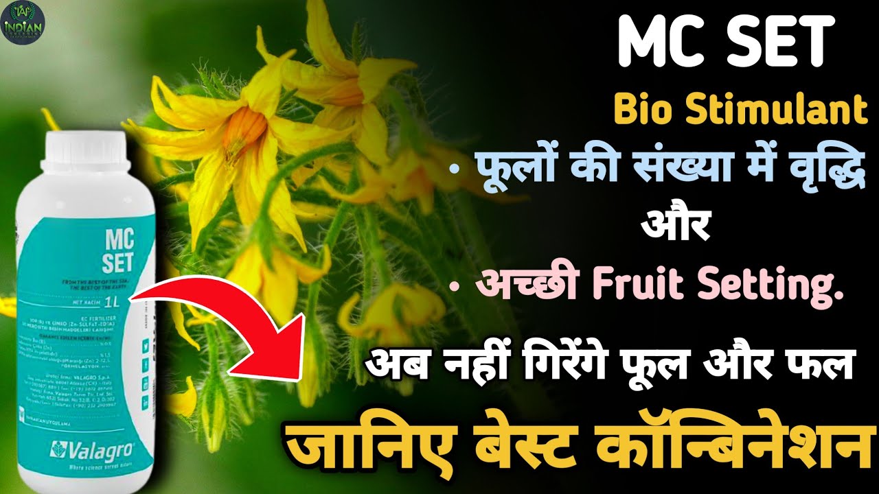 Valagro MC SET |Increase flowering & Fruits Setting | Stop flowers ...