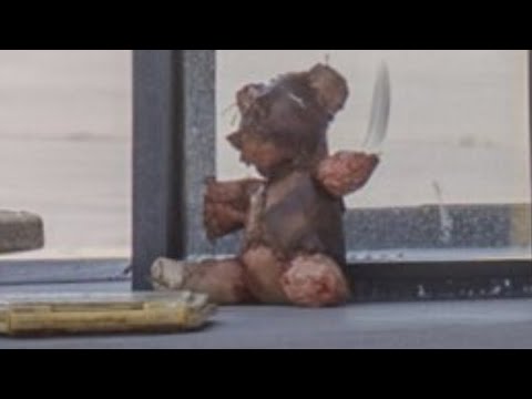 The Bear Was Covered In Human Skin… ☠️ - YouTube
