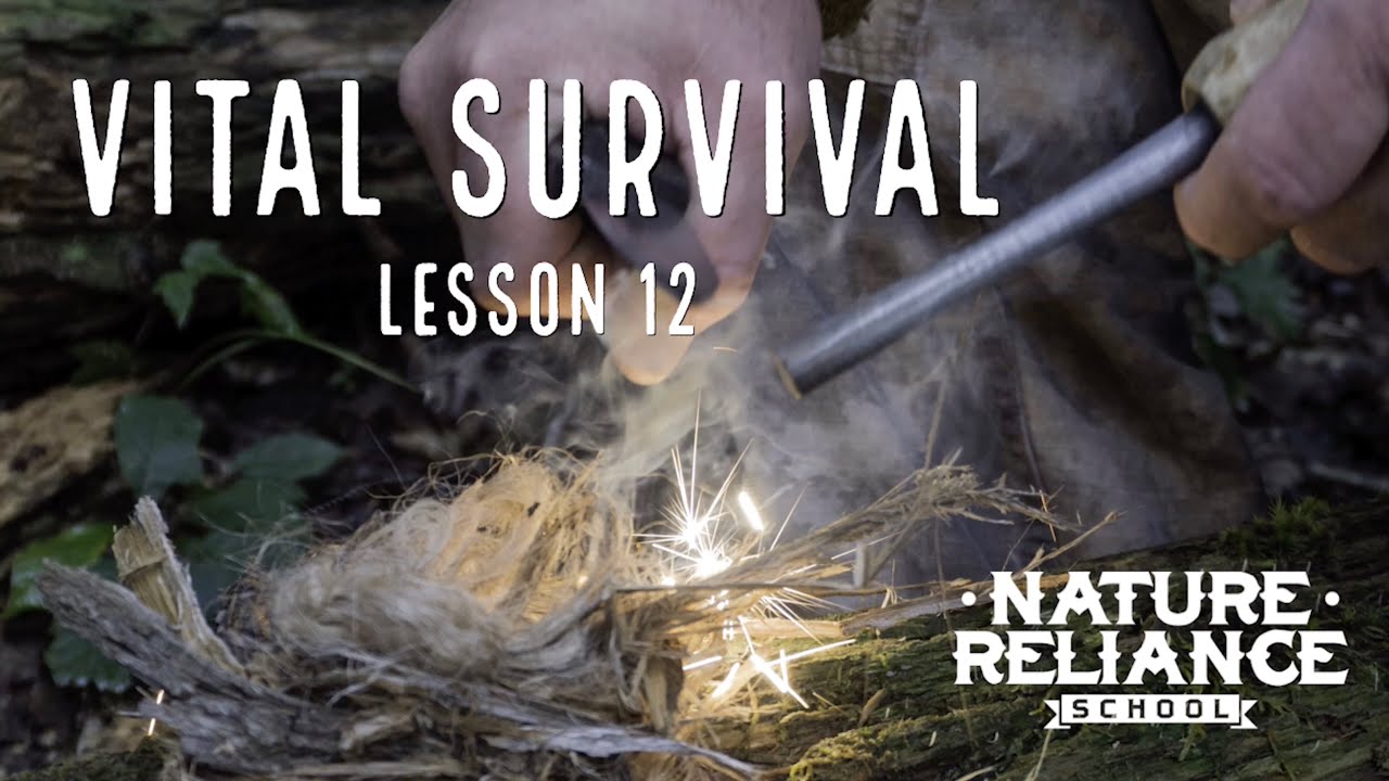 Vital Survival: Practicing Your Skills (Lesson 12) - YouTube