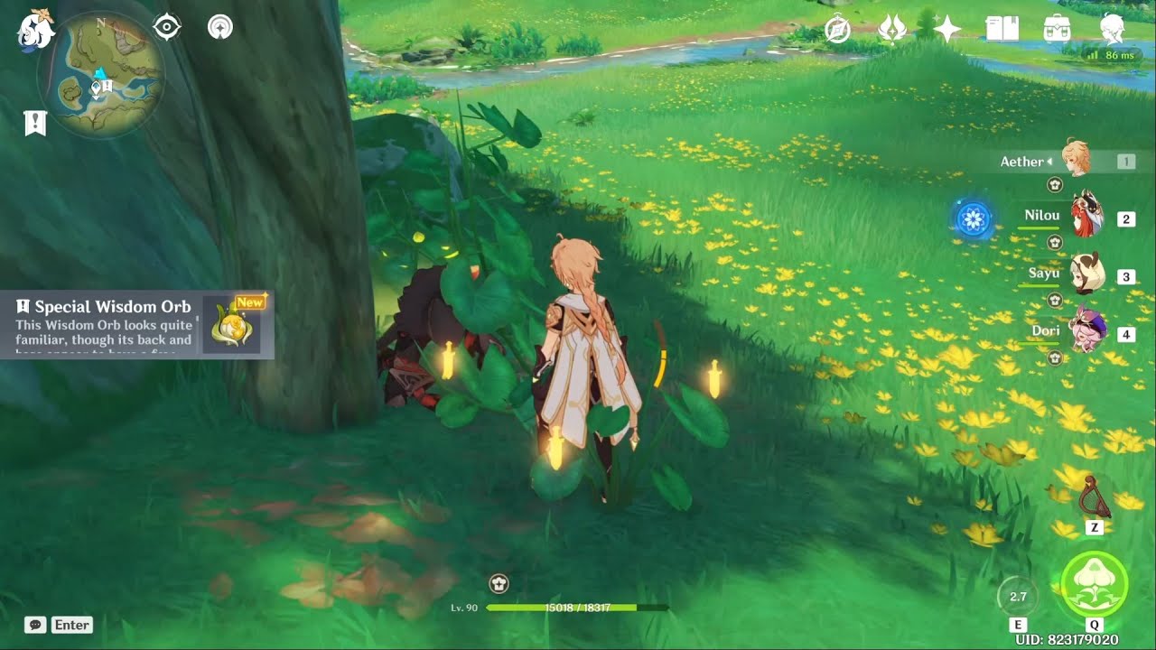 [Sumeru Adventures] Traveler Traverses Sumeru, encounters and ...